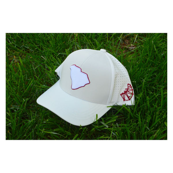 SOUTH CAROLINA GAMECOCKS WHITE STATE OUTLINE SNAPBACK - Gamecock Traditions
